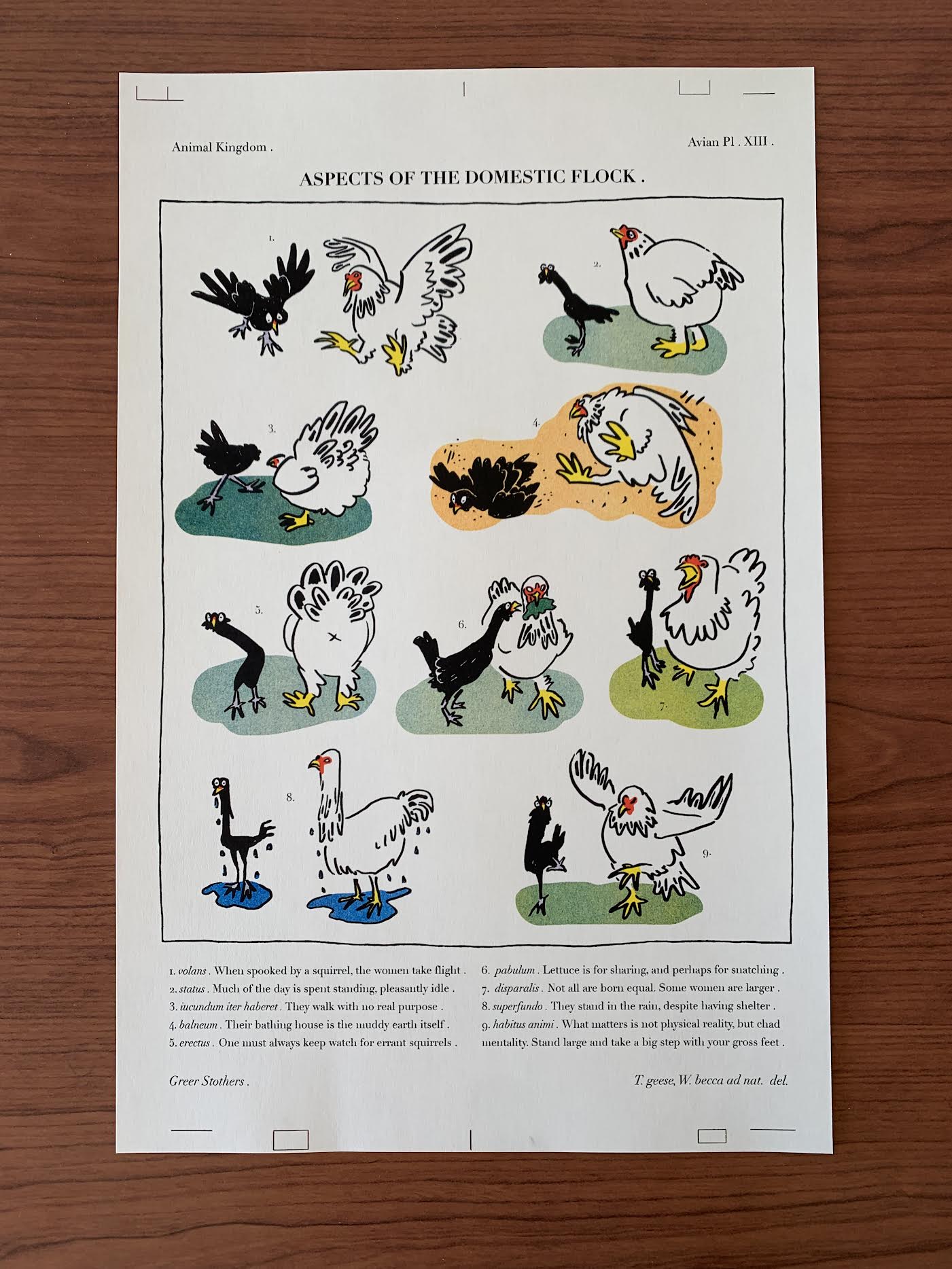 Aspect Prints – Greer Stothers